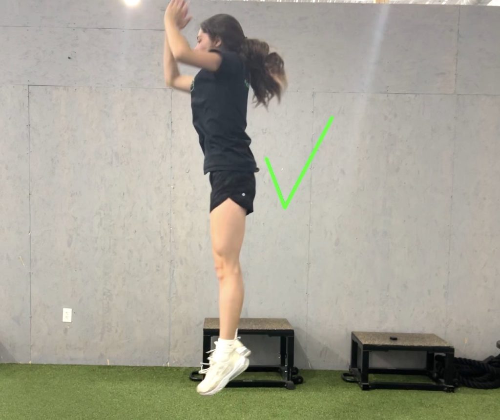 3 Components that are Essential to Training the Vertical Jump | Junior ...